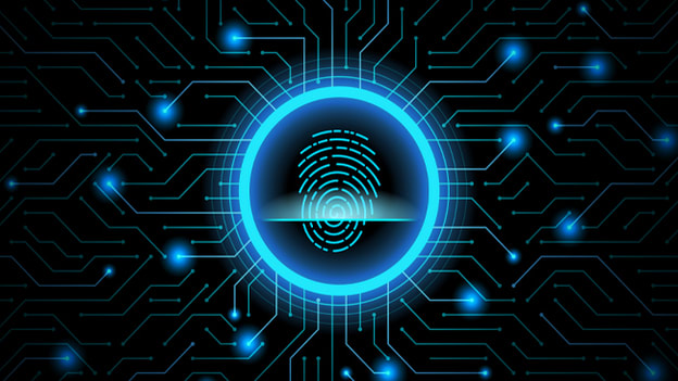 Data Defenders | Protect and Secure What Matters™